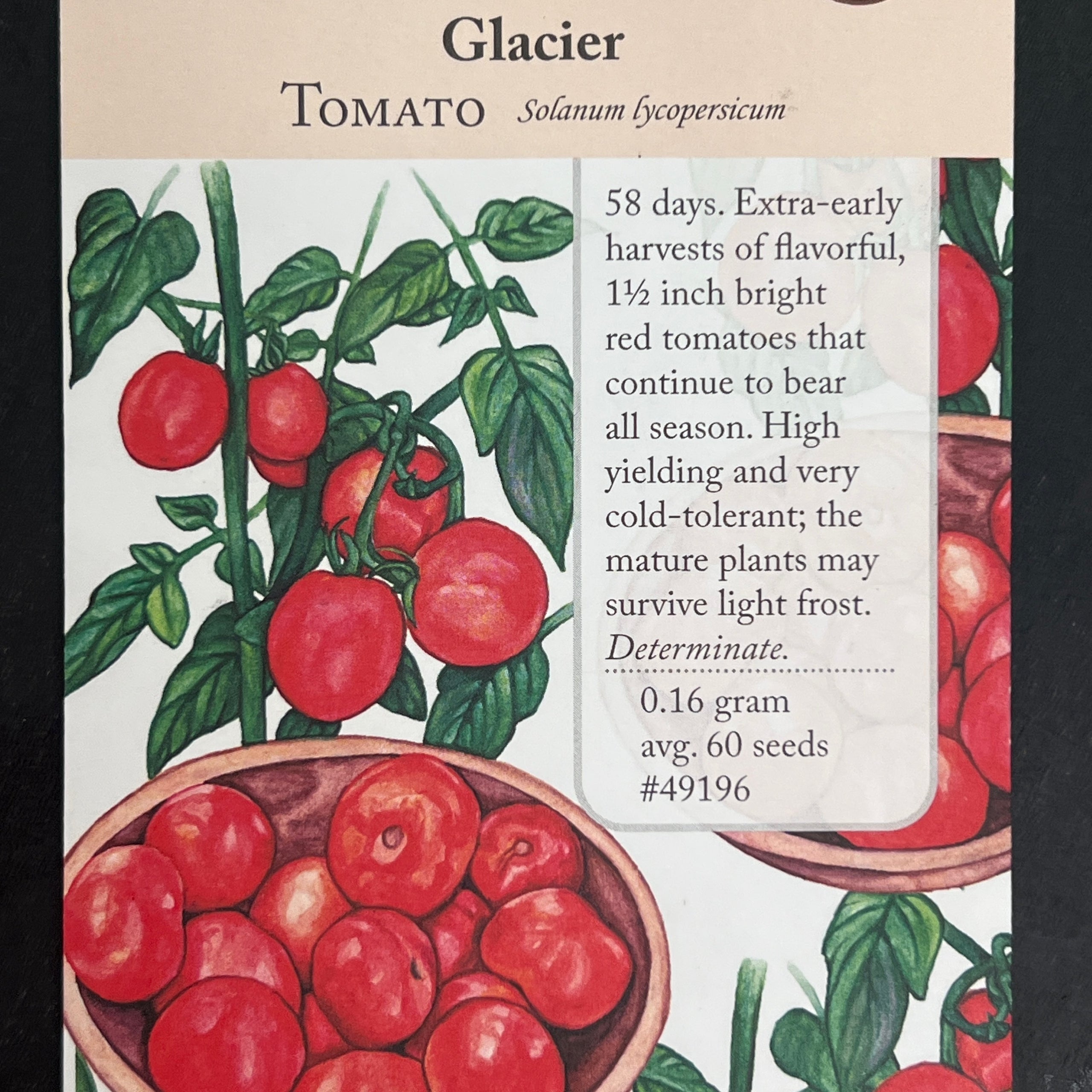 Glacier Tomato | HoneySmith Bees & Gardens